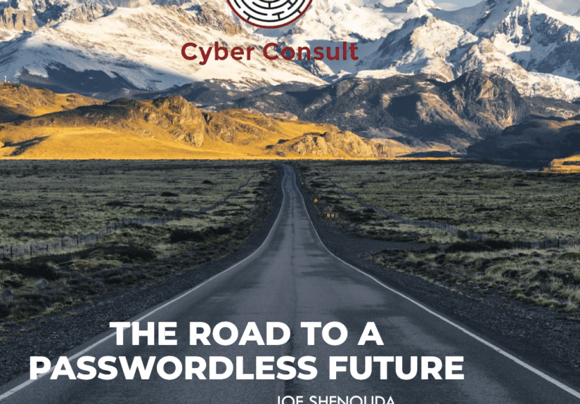 Cyber-Consult.org | Dutch Cybersecurity Company